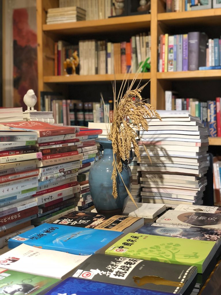 Top 10 Essential Chinese Books for Total Beginners – DESCRII